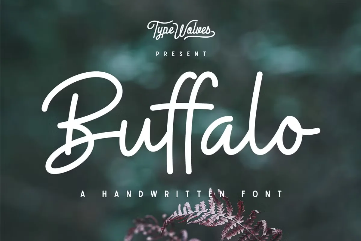 Download Buffalo Font Family Free | Free Handwritten Fonts